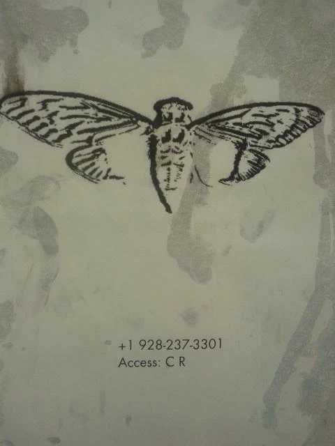 SSSS Codes | Uncovering Cicada Wiki | Fandom