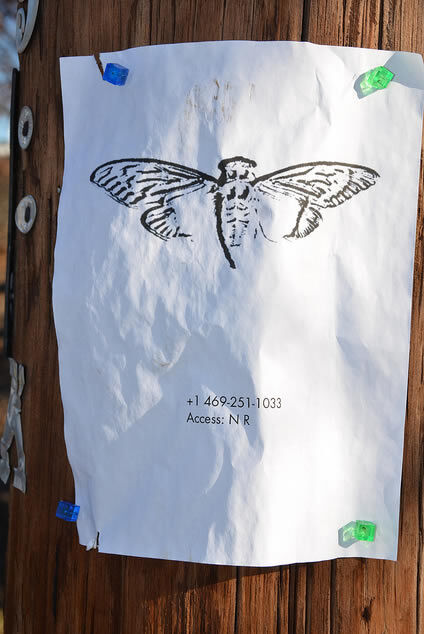 Columbus Georgia Uncovering Cicada Wiki Fandom