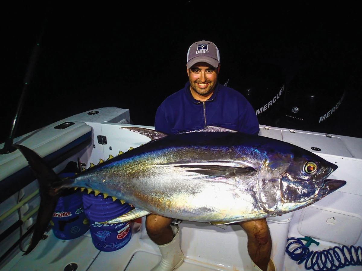 Bigeye Tuna | Life in Water Wiki | Fandom