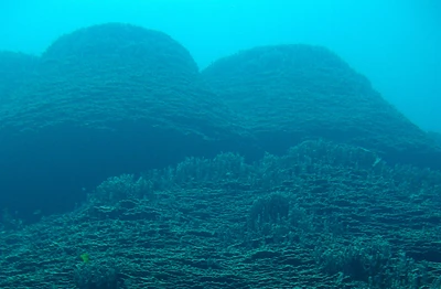 Seamounts | Life in Water Wiki | Fandom