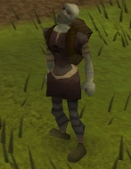 Backpacks | Undead Realm | Fandom