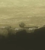 Small Rock | Under The Ocean Wiki | Fandom
