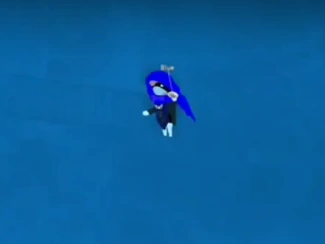 Blue | Undertale 3D Boss Battles - ROBLOX Wiki | Fandom