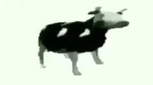 POLISH DANCING COW | 735q4e87 Wiki | Fandom