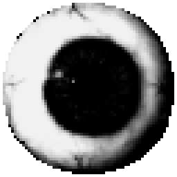 Prunsel | Undertale AU Вики | Fandom