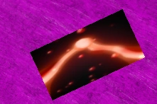 Perfect Parry | Undertale Dungeons Wiki | Fandom