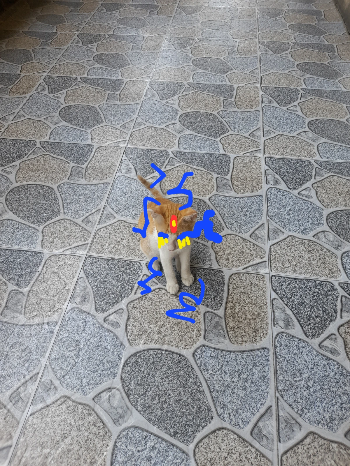 Con con | Undertale Nonsense and Undertale Fanon Wiki | Fandom