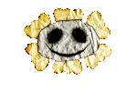 Flowey | Undertale Yellow Wiki | Fandom