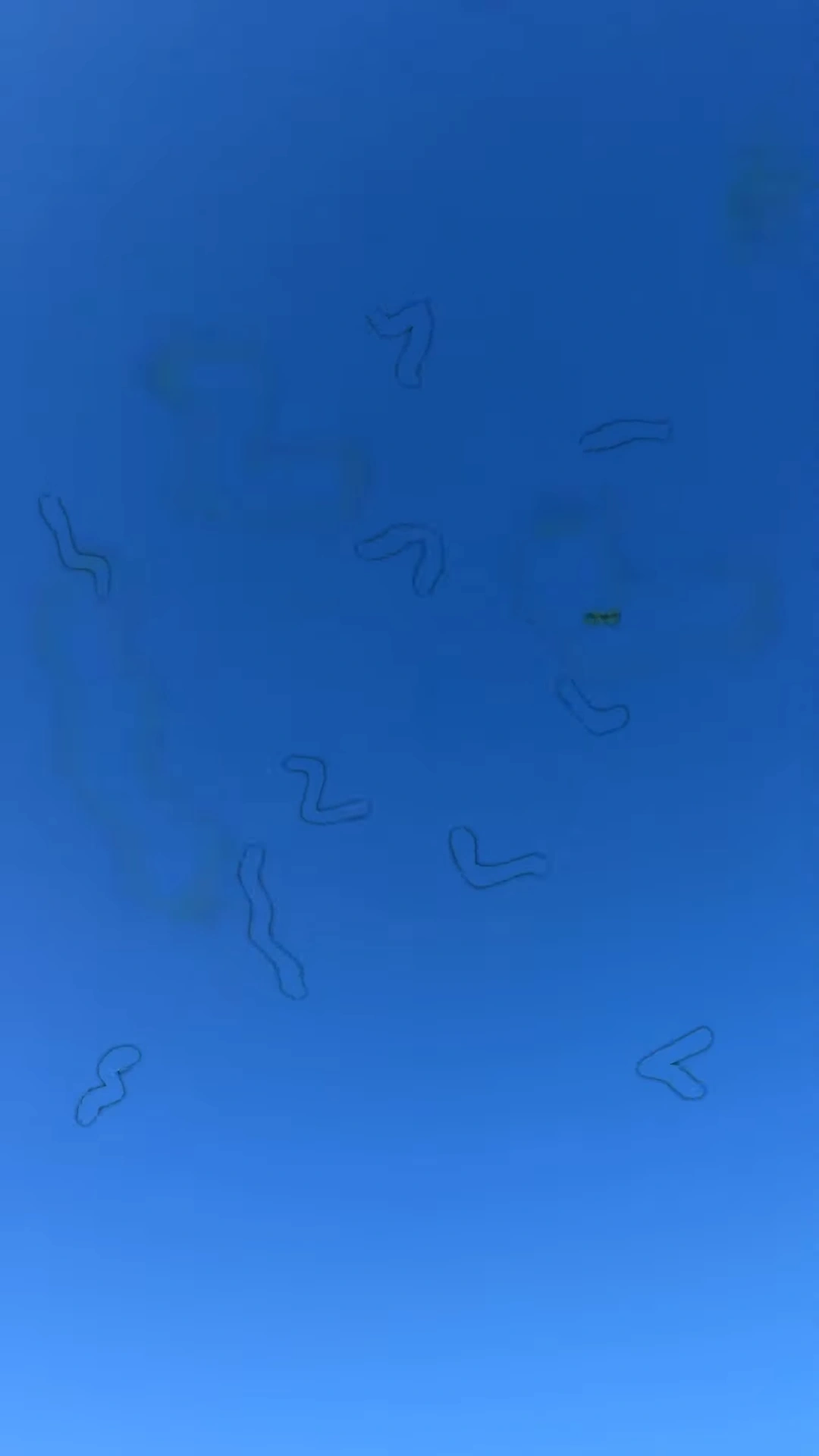 Sky Worms | Undertime Slopper Wiki | Fandom