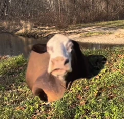 Undertime Slopper Wiki | Fandom