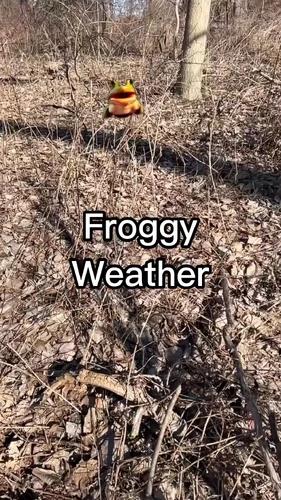 Froggy Weather | Undertime Slopper Wiki | Fandom