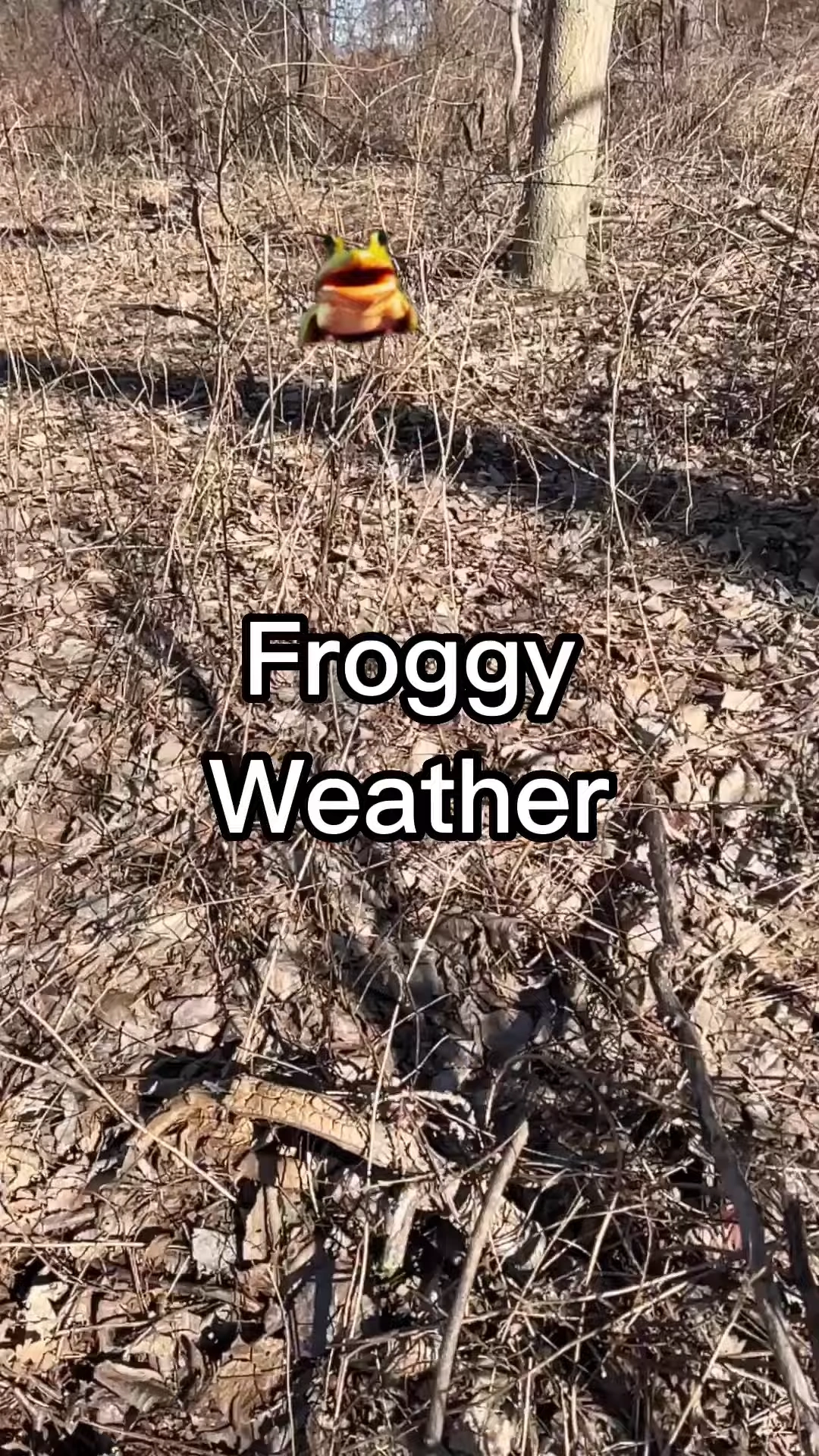 Froggy Weather | Undertime Slopper Wiki | Fandom