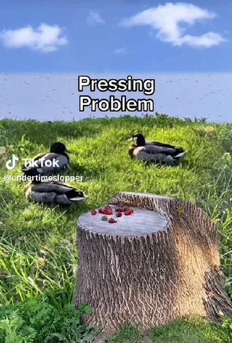 Pressing Problem | Undertime Slopper Wiki | Fandom