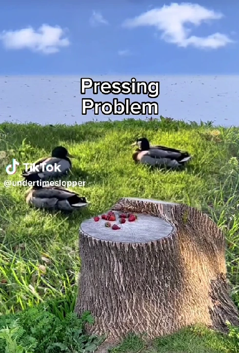 Pressing Problem | Undertime Slopper Wiki | Fandom