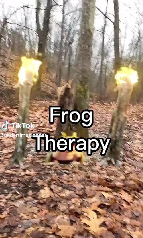 Frog Therapy | Undertime Slopper Wiki | Fandom