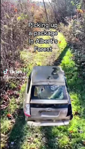 Picking up a package in Albert's Forest | Undertime Slopper Wiki | Fandom