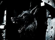 William Corvinus | Wiki Underworld | Fandom