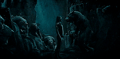 Werewolf | Underworld Wiki | Fandom