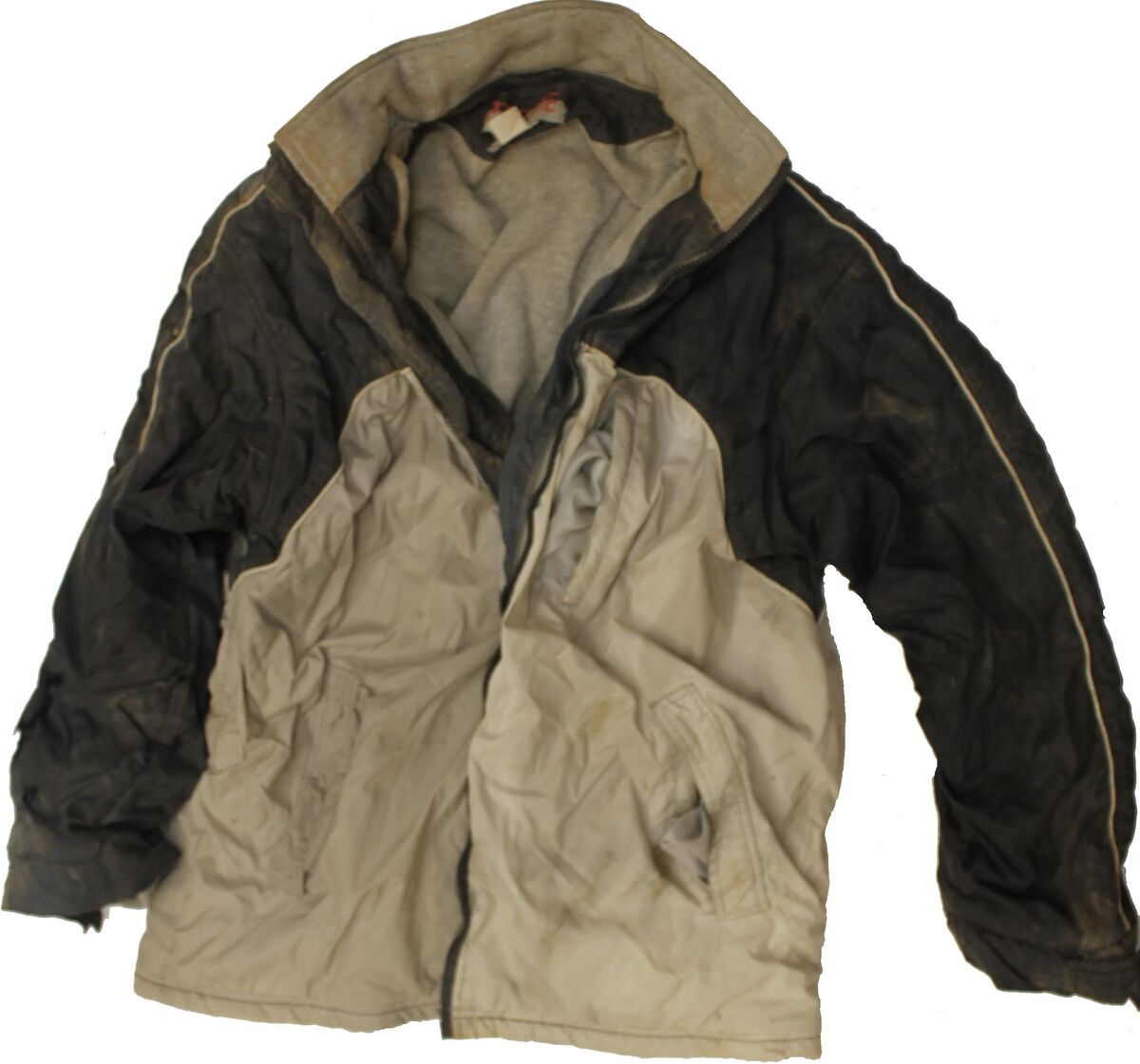 Sells Jane Doe (2016) | Unidentified Wiki | Fandom