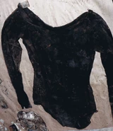 Lisa Todd | Unidentified Wiki | Fandom