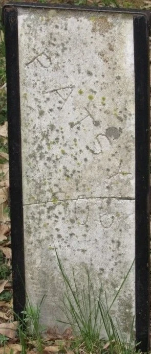 Patsy | Unidentified Wiki | Fandom