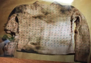 Michelle Inman | Unidentified Wiki | Fandom