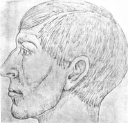 Fred the Head | Unidentified Wiki | Fandom