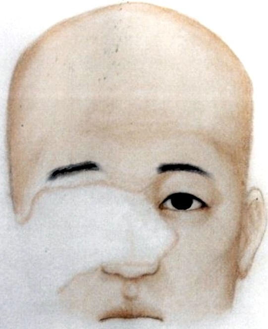 Hachioji John Doe (2012) | Unidentified Wiki | Fandom