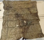 Logan Bowman | Unidentified Wiki | Fandom