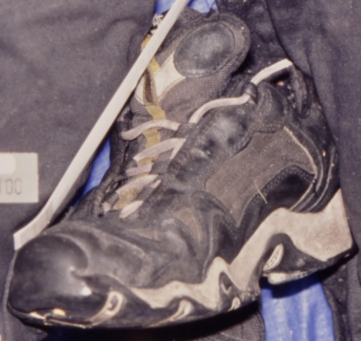 Chicago John Doe (September 9, 2000) | Unidentified Wiki | Fandom