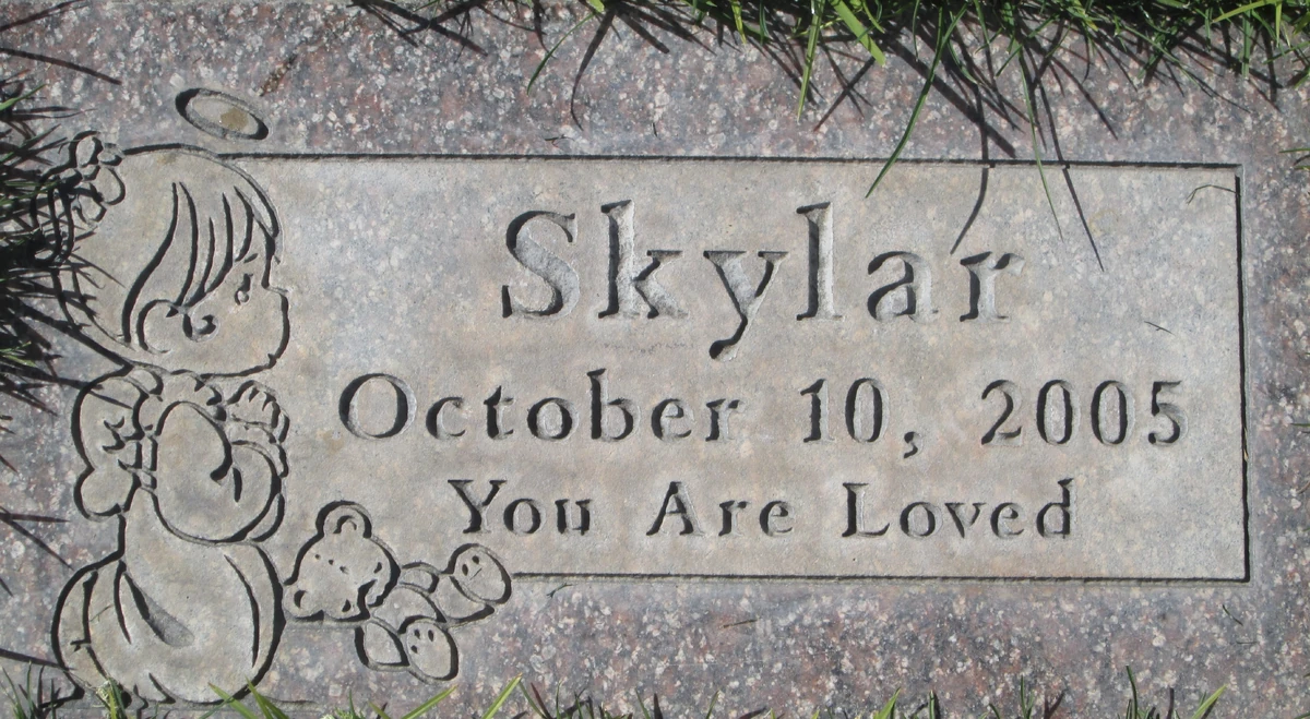 Baby Skylar | Unidentified Wiki | Fandom