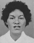 Debra Houston | Unidentified Wiki | Fandom