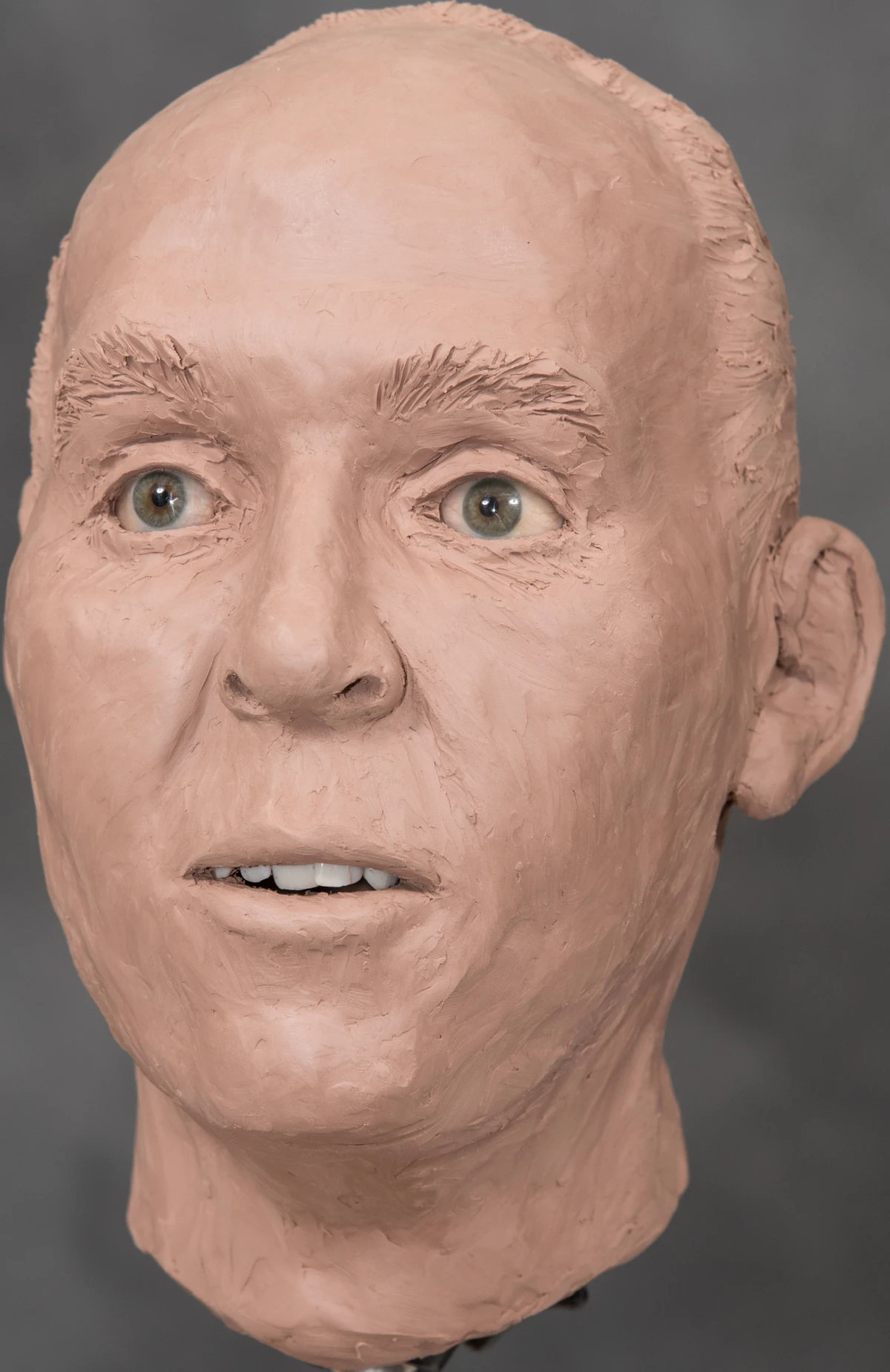 San Francisco John Doe (October 2014) | Unidentified Wiki | Fandom