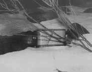 Evelyn Colon | Unidentified Wiki | Fandom