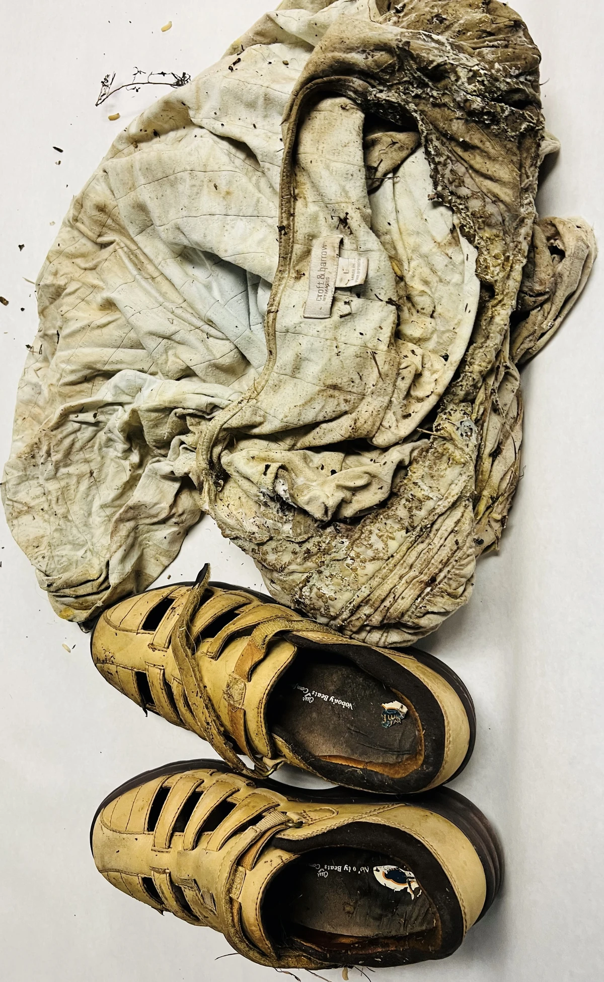 Dallas County Jane Doe (2022) | Unidentified Wiki | Fandom