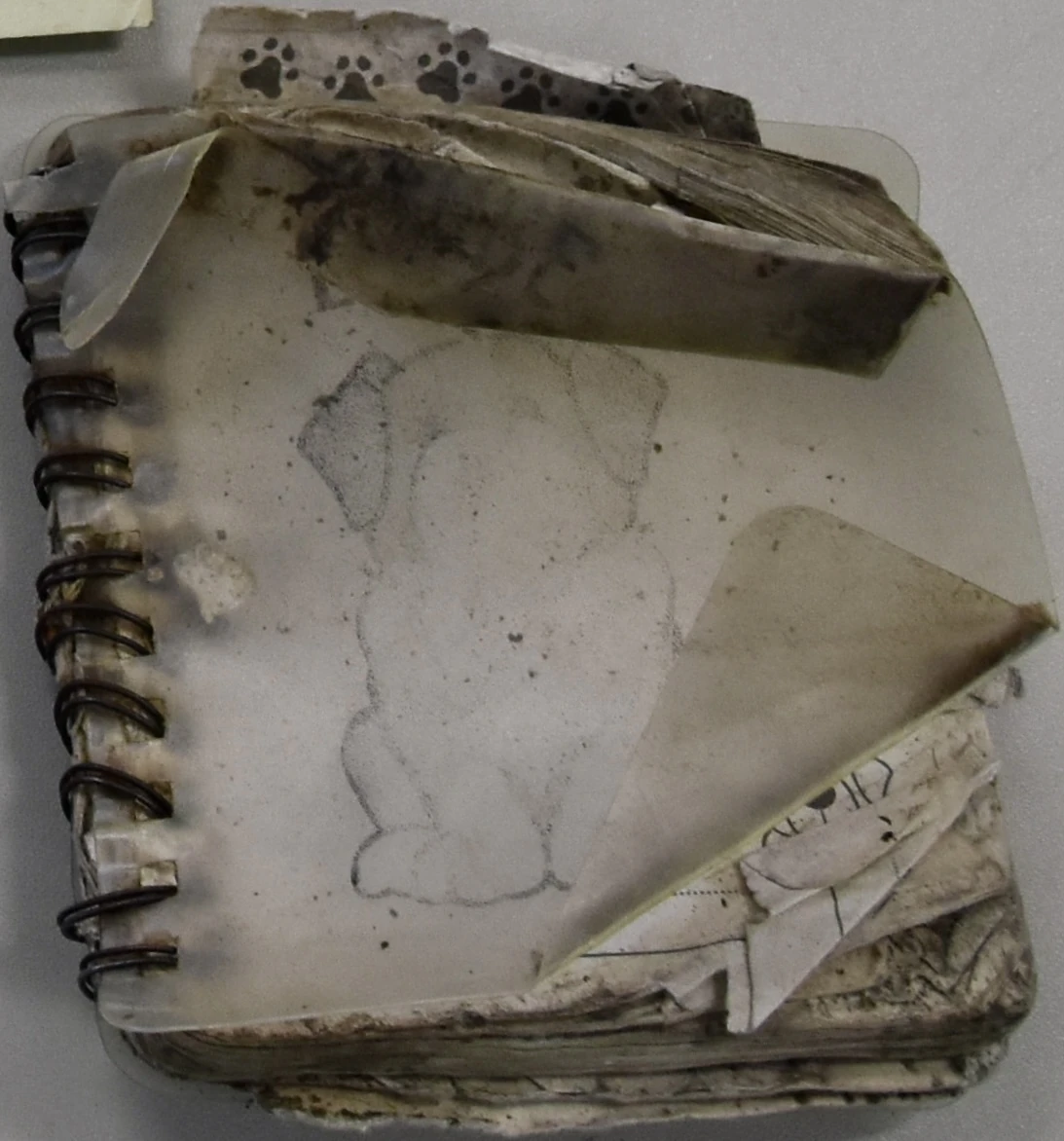 Mercer County John Doe (2021) | Unidentified Wiki | Fandom