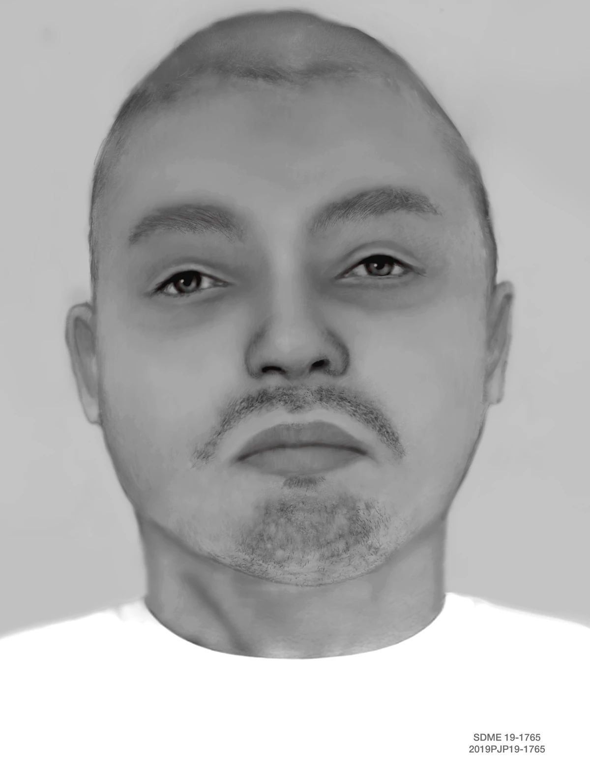 Randy (2019) | Unidentified Wiki | Fandom