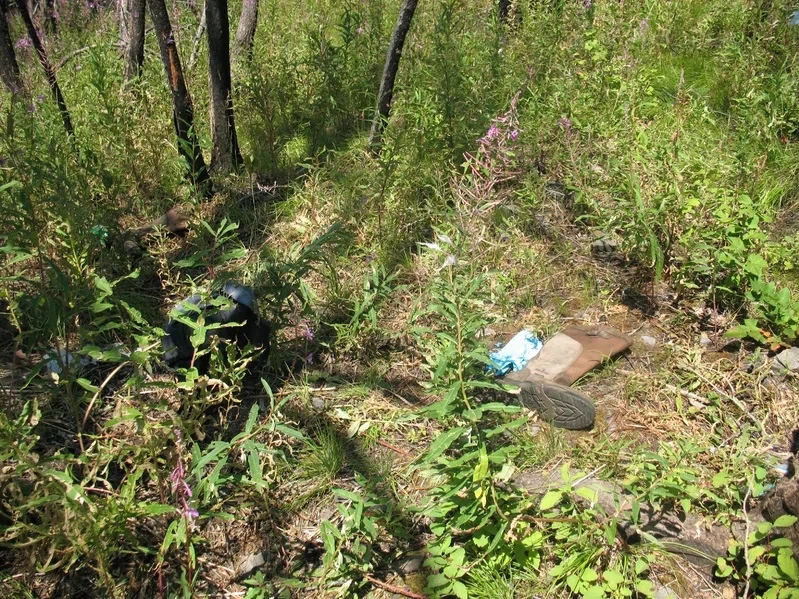 David Milek | Unidentified Wiki | Fandom