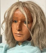 Shari Ball | Unidentified Wiki | Fandom