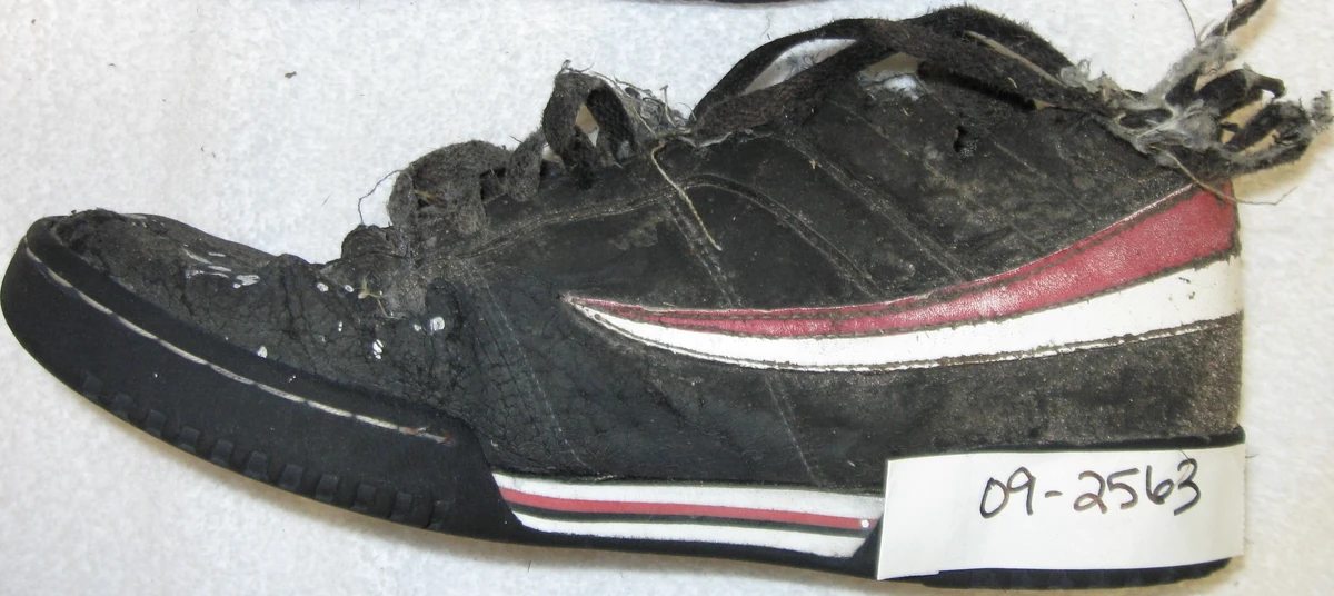 Santa Cruz County John Doe (December 2009) | Unidentified Wiki | Fandom