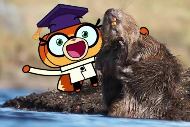 Dr. Beaver | Unikitty Wiki | Fandom