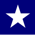 Southern States Army | Union Dixie Wiki | Fandom