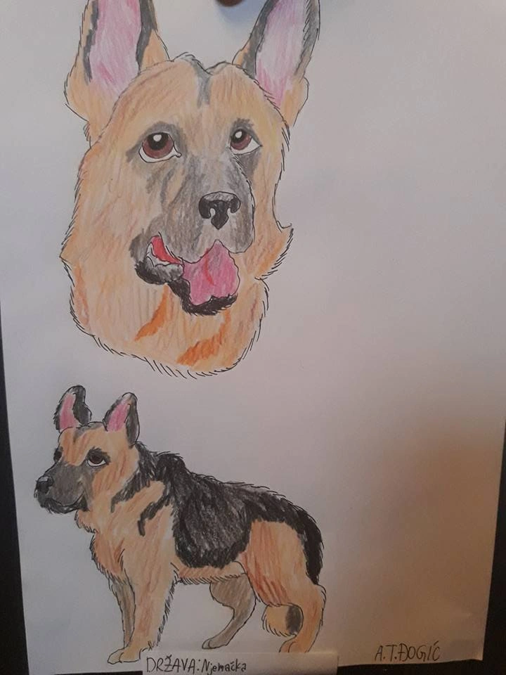 Germany | United Paws Wiki | Fandom