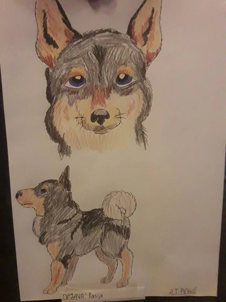 Russia | United Paws Wiki | Fandom