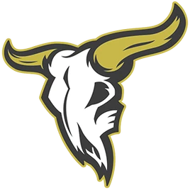 San Antonio Rustlers | United States Baseball League Wikia | Fandom
