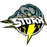 Seattle Storm | United States Baseball League Wikia | Fandom