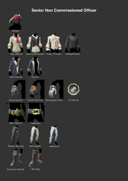 Uniform Regulations | United States Navy of Sea of Thieves Wiki | Fandom