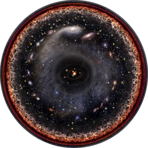 Vine(app) | Universal Wiki | Fandom