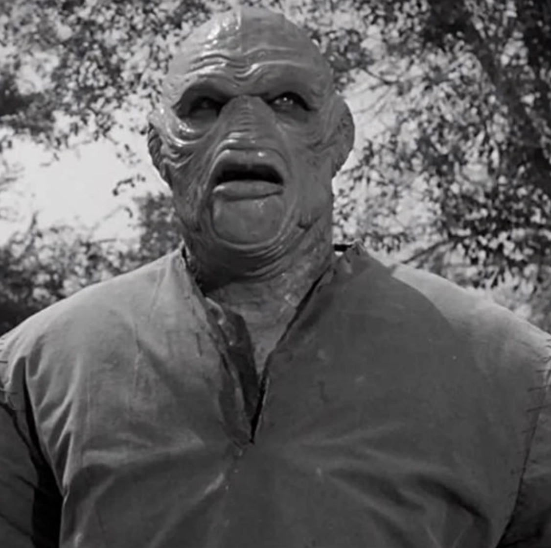 Gill-Man | Universal Classic Monsters Wiki | Fandom