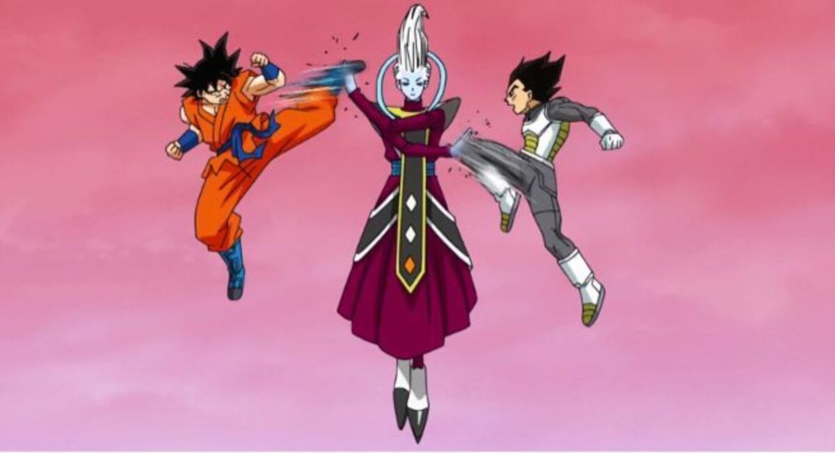 Goku and Vegeta vs. Whis | Universal Dragon Ball Wiki | Fandom